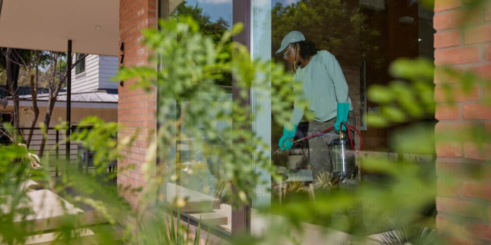 Do House Flies Carry Diseases? How to Minimize the Risk in My Home ...